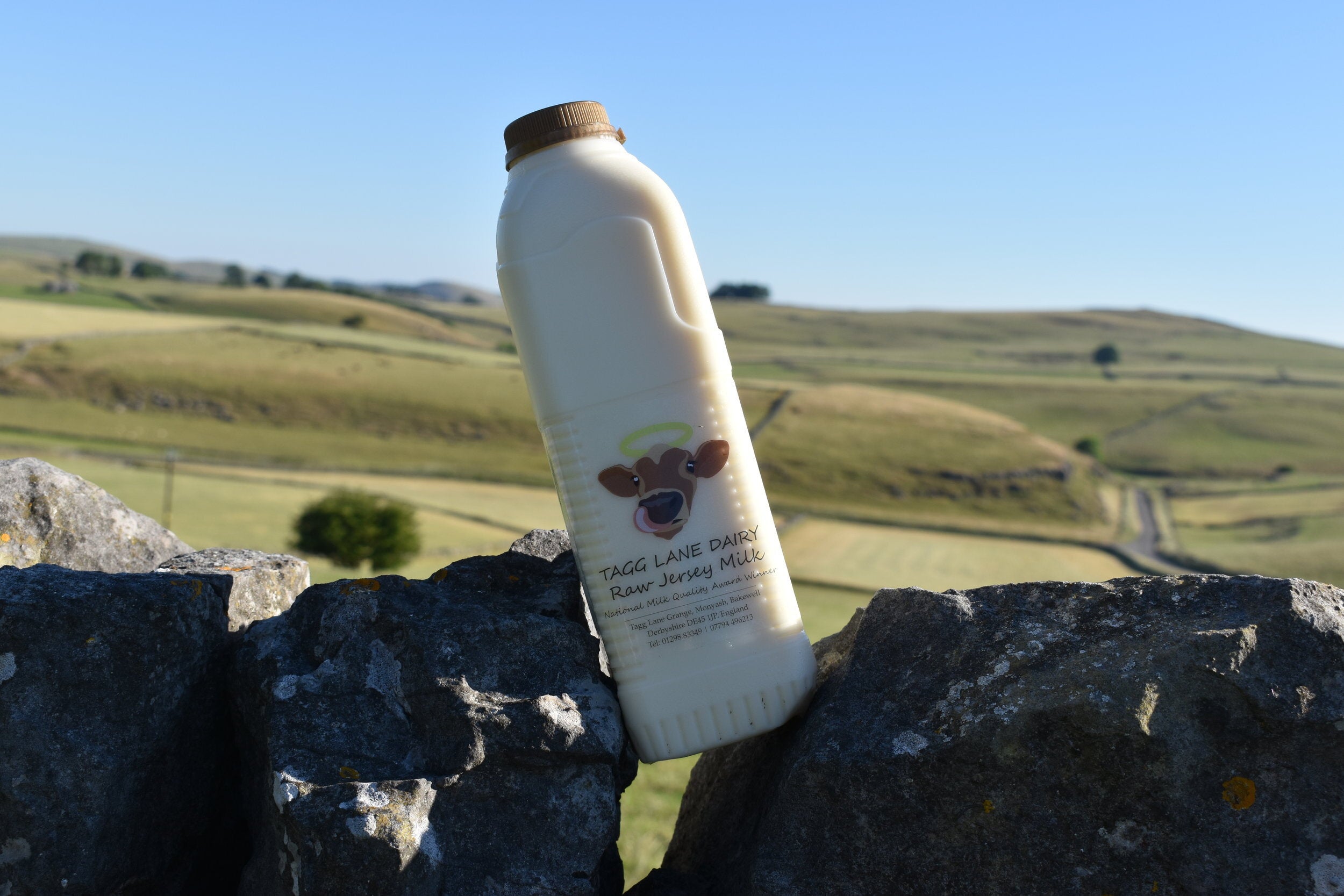 Raw Jersey milk - 4 litres | TAGG LANE DAIRY LTD
